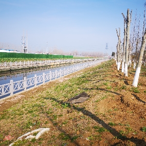 工程师小郑 