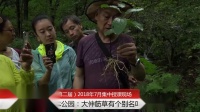 毛水龙：大伸筋草有个别名叫和尚七