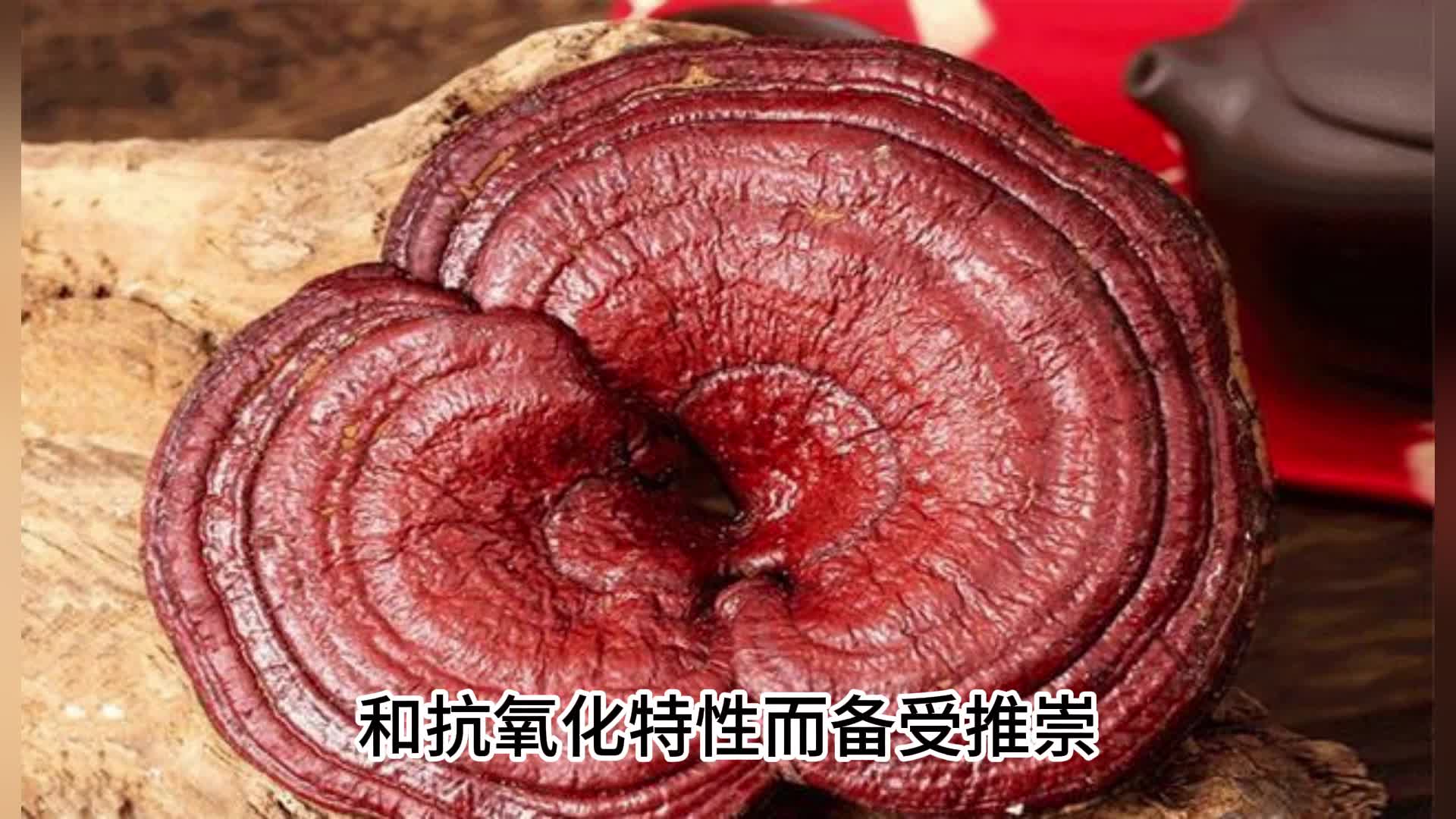 灵芝的正确吃法与用量，灵芝的最佳食用方式