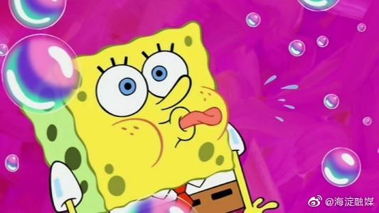 海绵宝宝的原型,这才是真正的海绵!