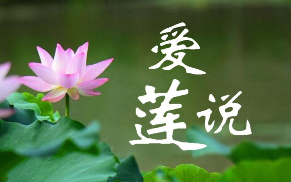 【如果给高考必背诗文谱上曲】之《爱莲说》