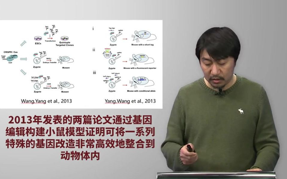 基因编辑技术在非人物种中的应用