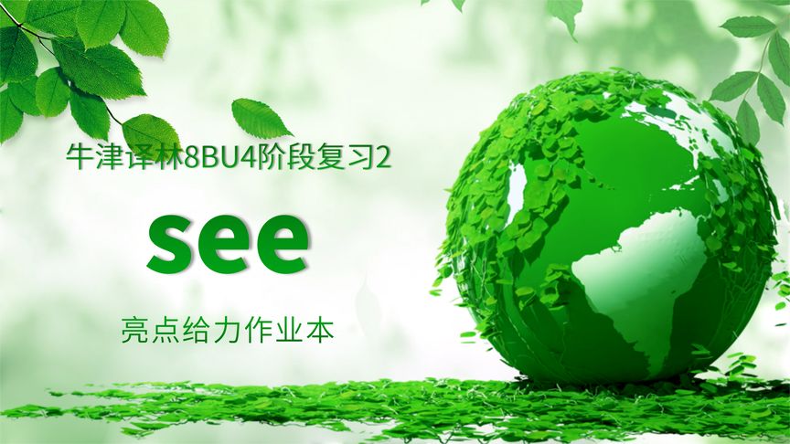 初中知识点:see sb. do或doing sth-