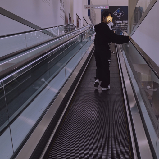 王金鱼超级棒 