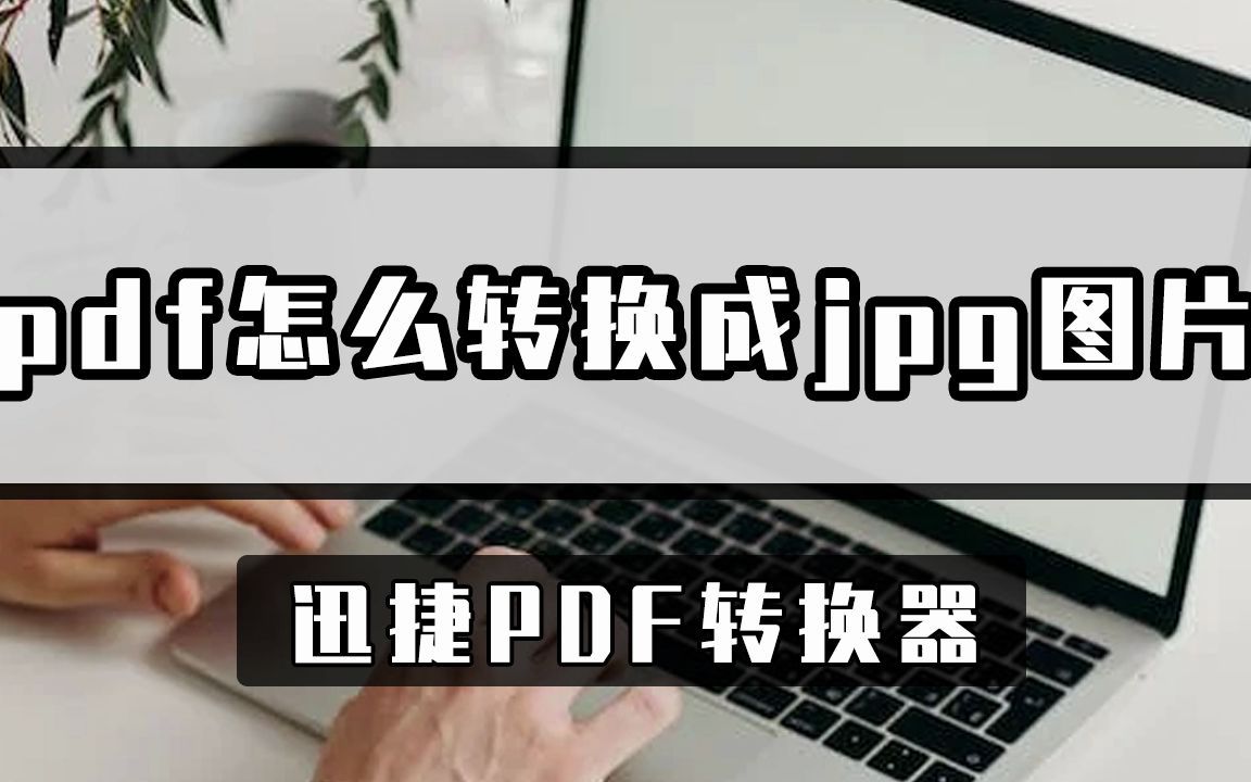 PDF怎么转换成jpg图片?简单的格式转换方法快学起来