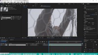 02、AE板块第二章 AE工作菜单详解2 项目设置