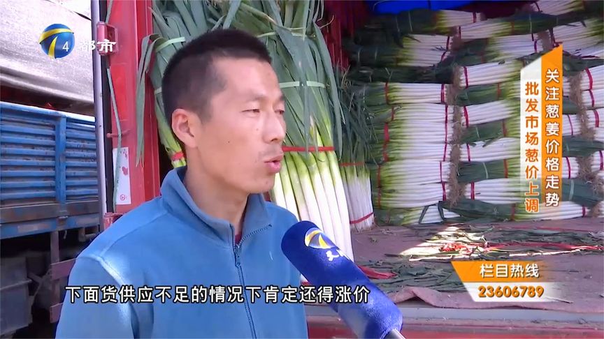 关注葱姜价格走势,零售市场姜价大涨