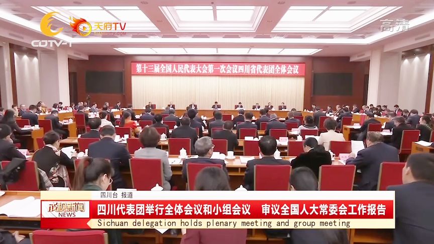 四川代表团举行全体会议和小组会议 审议全国人大常委会工作报告