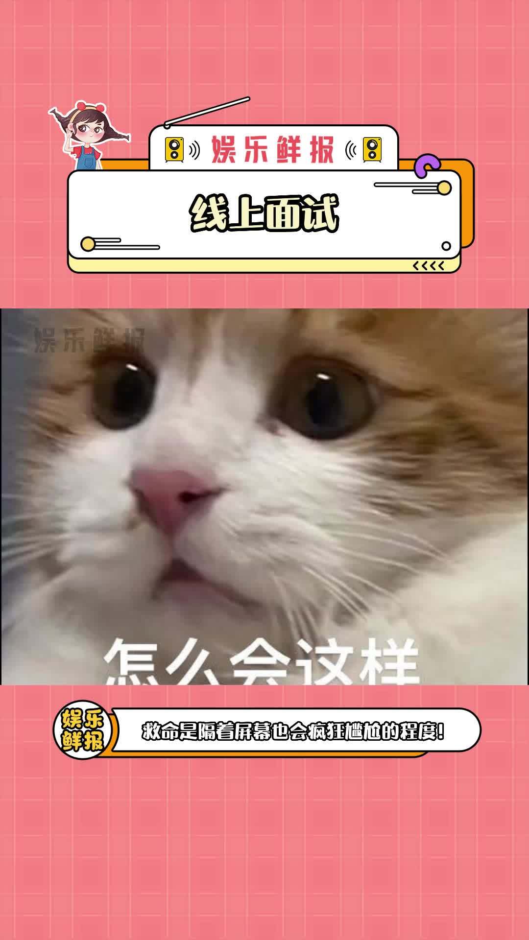 #线上面试 啊啊啊啊救命怎么会这样#搞笑