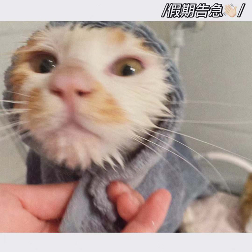 等等我喝口汤 