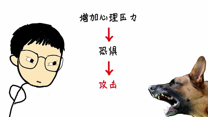 防狗咬指南:突然被狗攻击怎么办?你应该知道的6个正确对策