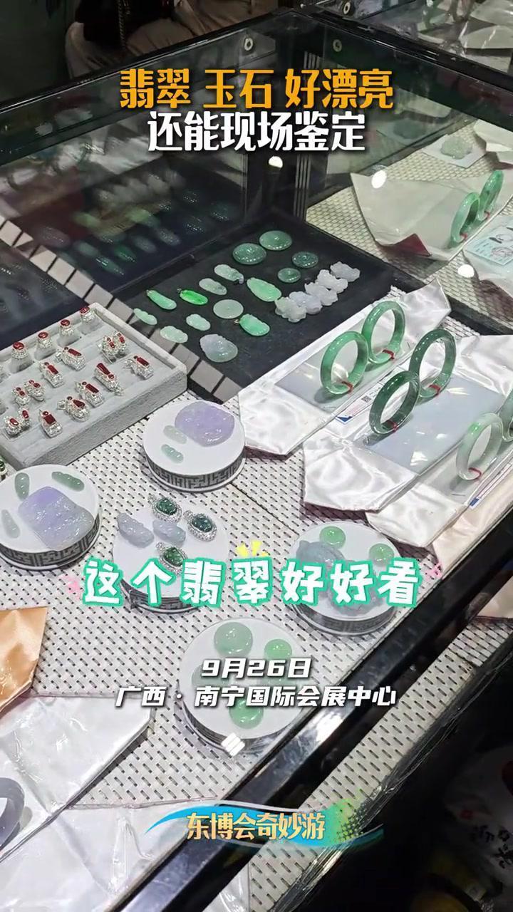 翡翠、玉石,好漂亮,还能现场鉴定#共襄东博盛会#东博会奇妙