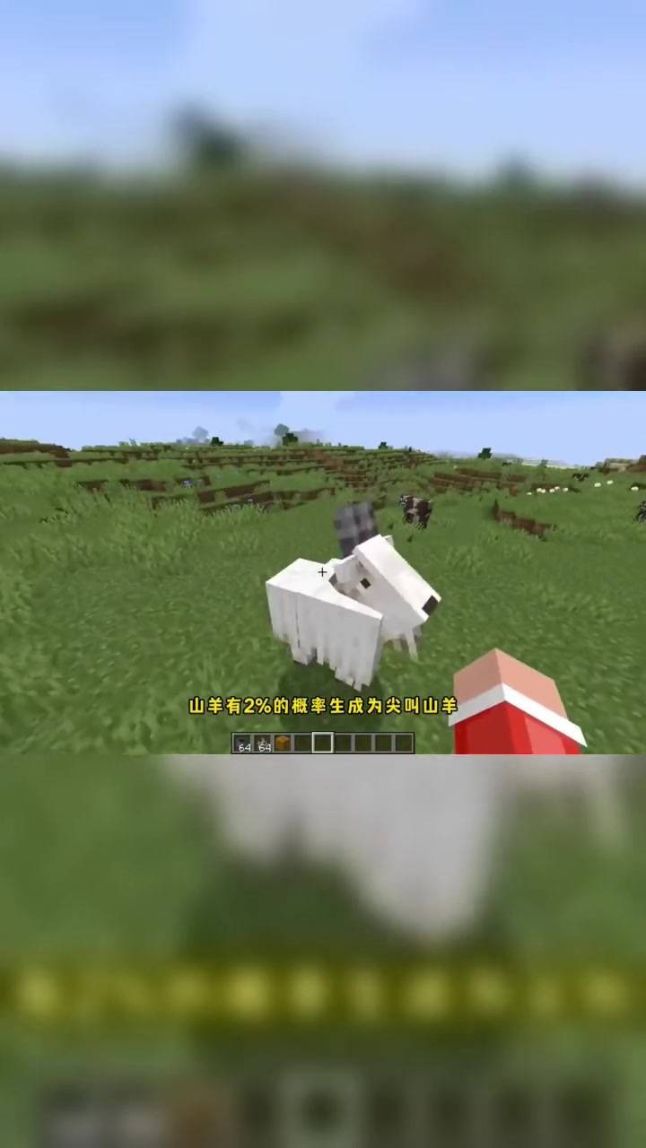 我的世界:蜂蜜快竟然能隔空控制