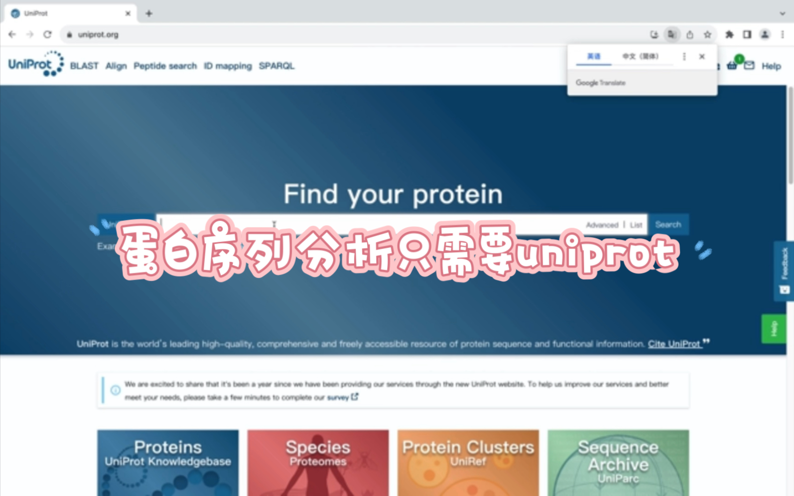 蛋白序列分析只需要uniprot就够了