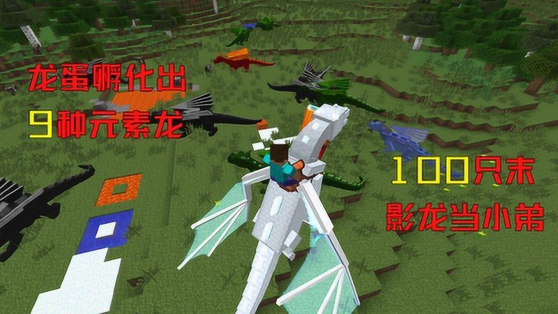 我的世界:龙蛋能孵化出9种元素龙驯服100只龙当小弟太霸气!