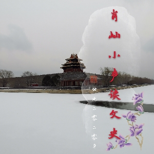 肖屾小声读文史 