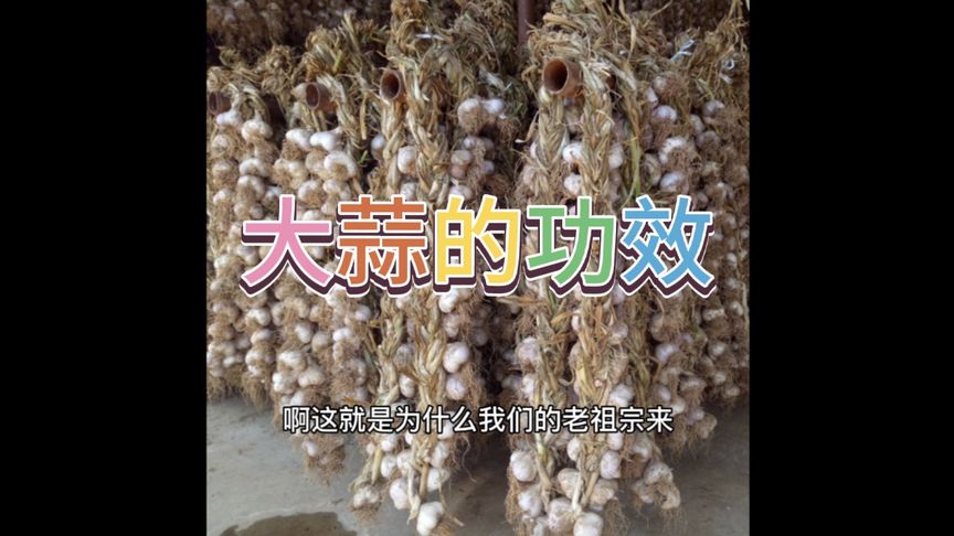 大蒜的功效你知道多少?