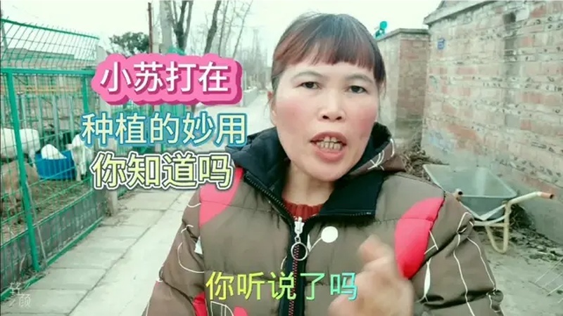 小苏打在种植中的妙用你知道吗?