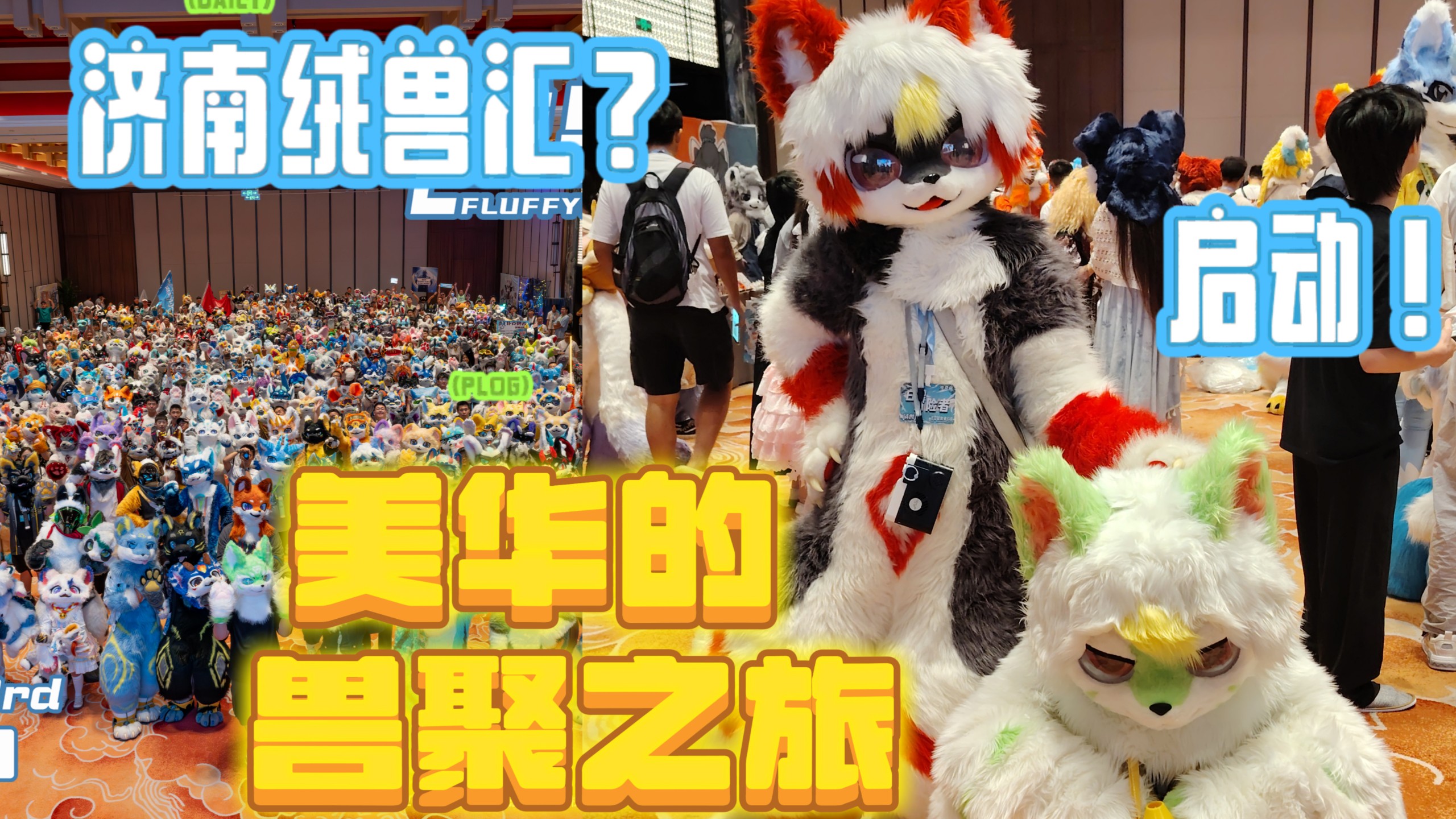 【绒兽汇】我去,这是毛茸茸天堂吗?