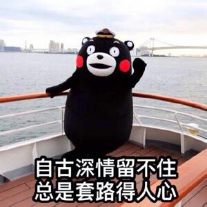V587打豆豆 