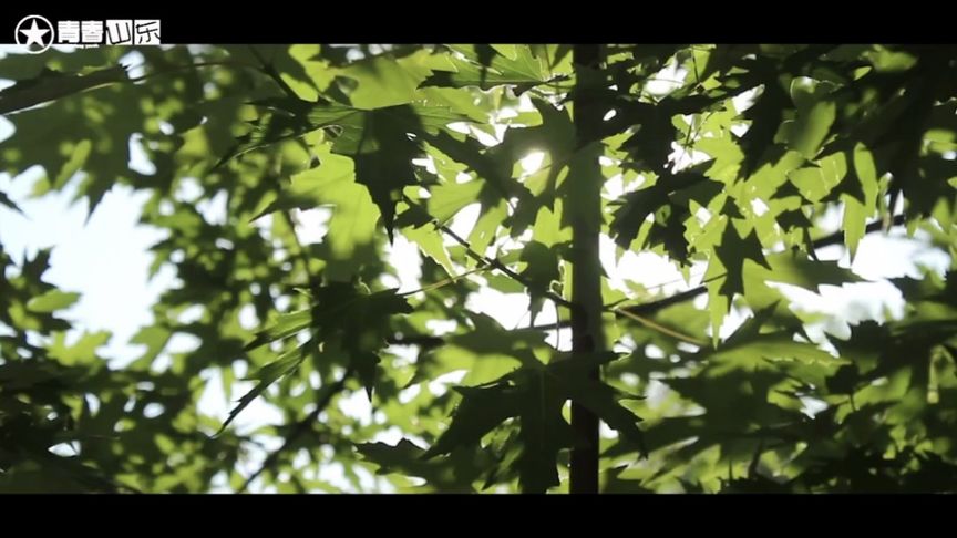 【世界环境日】关爱自然,刻不容缓