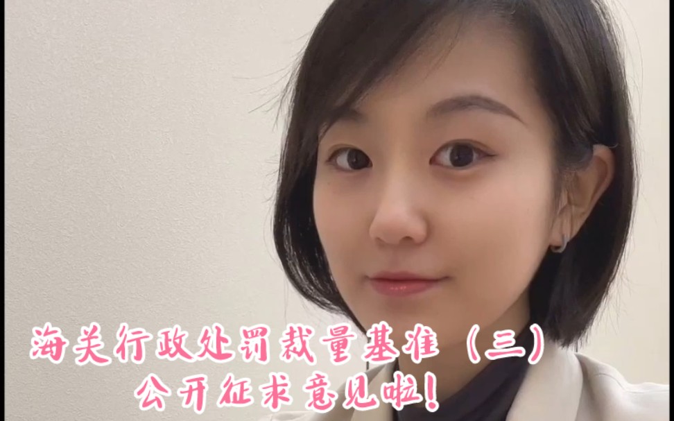 海关行政处罚裁量基准(三)公开征求意见啦!