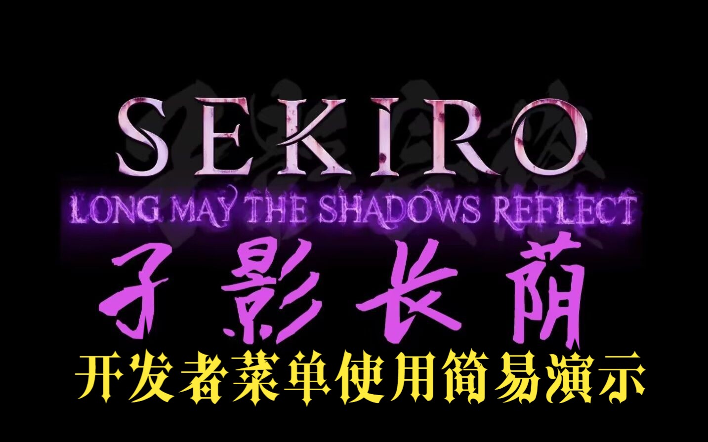 【只狼工具:开发者菜单】简易演示 如何通过开发者菜单获得技能、忍...