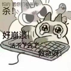 小蛋不说话 