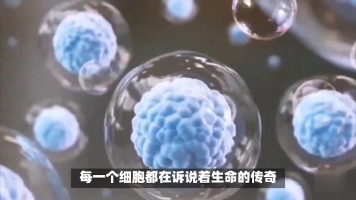 植物科普:为什么茎是向上生长,根是向下生长