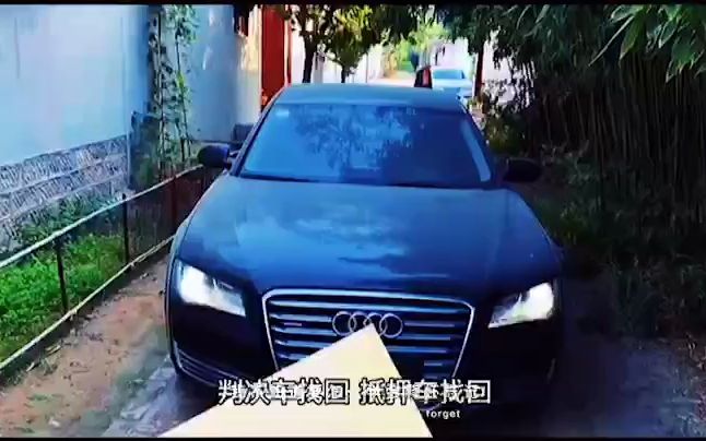 找车,寻车,车辆找回,全国找车