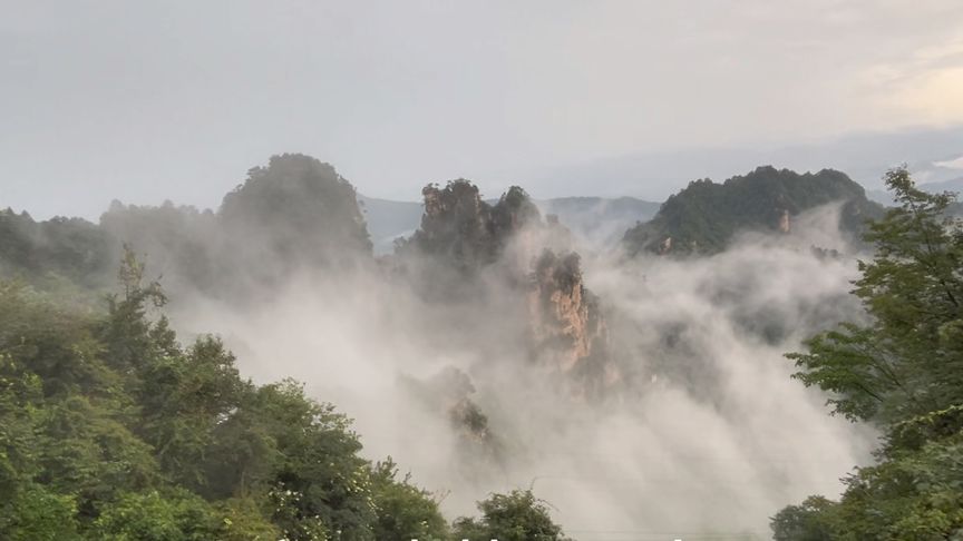 摄于张家界森林公园 #张家界森林公园风景