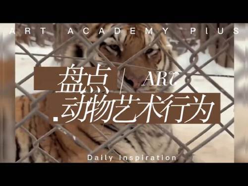 拒绝动物表演,但是拒绝不了动物硬要表演