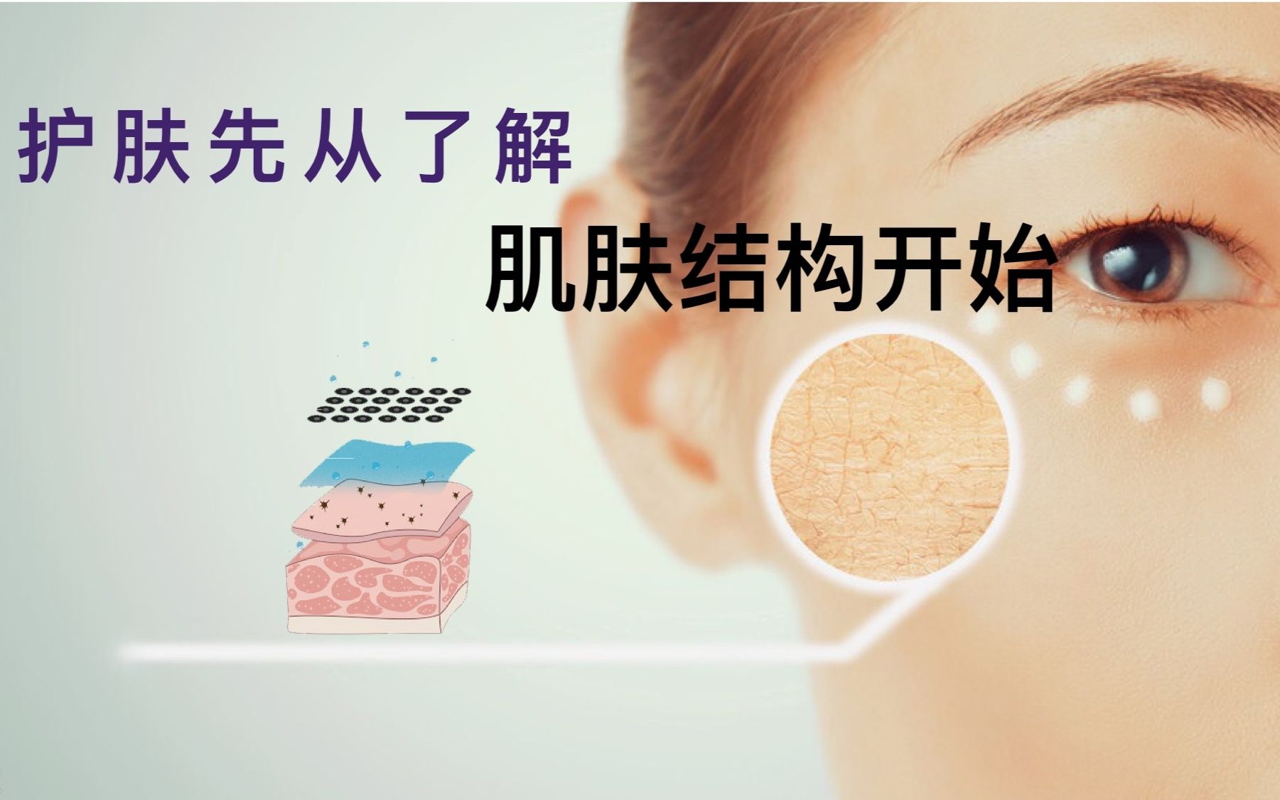 科学护肤大公开,想要护肤先从了解皮肤结构开始吧!