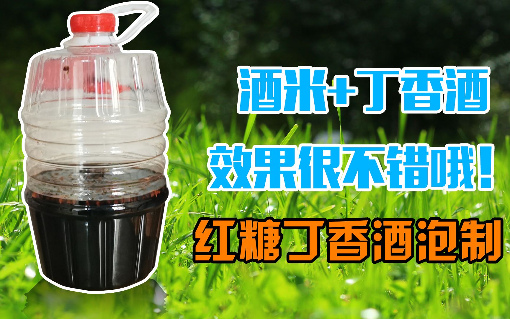 红糖丁香酒配比及炮制方法 野钓窝料酒米效果佳