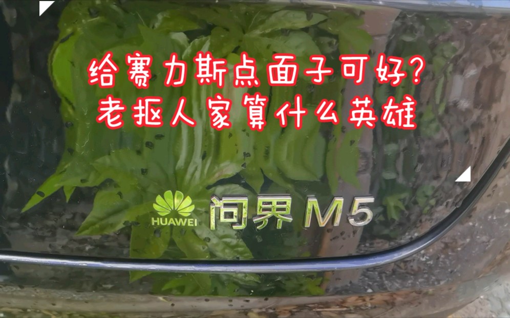 这个华为标咋样,没扣赛力斯