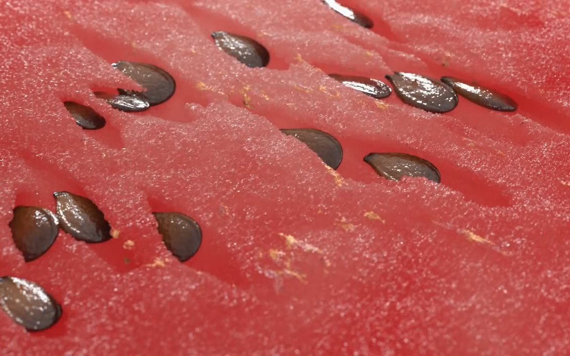 【C4D教程】水果系列之2——Redshift渲染写实西瓜教程【中英字幕】