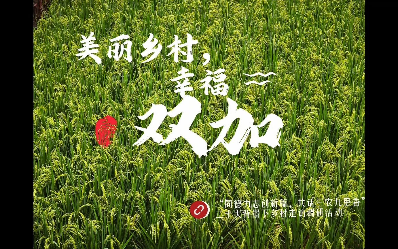 ⌈三下乡⌋ 美丽乡村,幸福双加 | 西南医科大学“光影领风筑新德,文明...