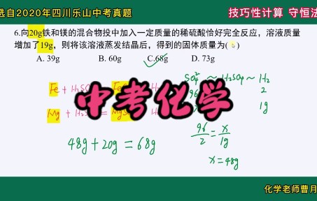 中考化学 技巧性计算 元素守恒法 选自2020年四川乐山中考真题