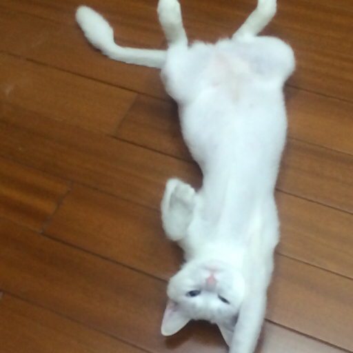 夏天的冰冰冰 