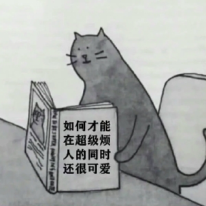 柚子皮尔 