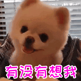 笑卿风 
