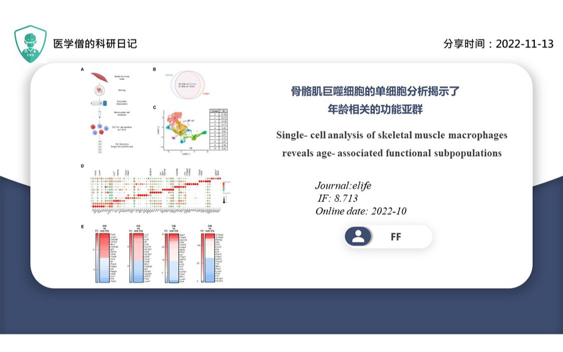 骨骼肌巨噬细胞的单细胞分析揭示了年龄相关的功能亚群
