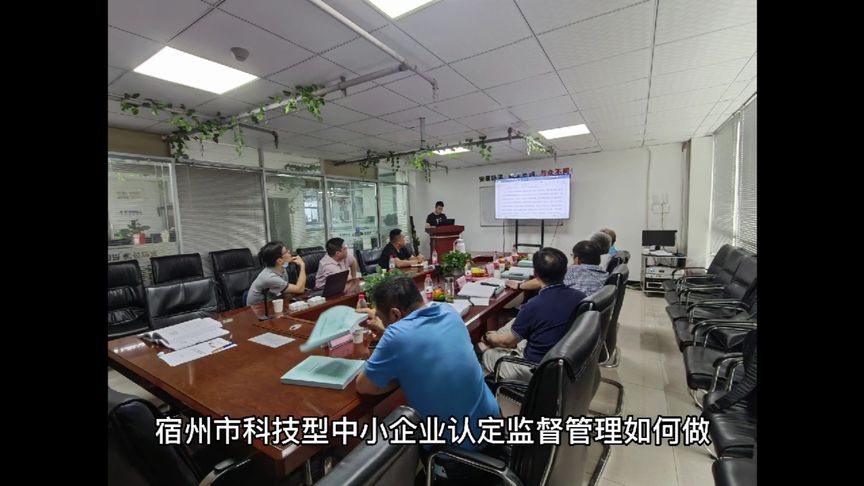 宿州市科技型中小企业认定监督管理要求