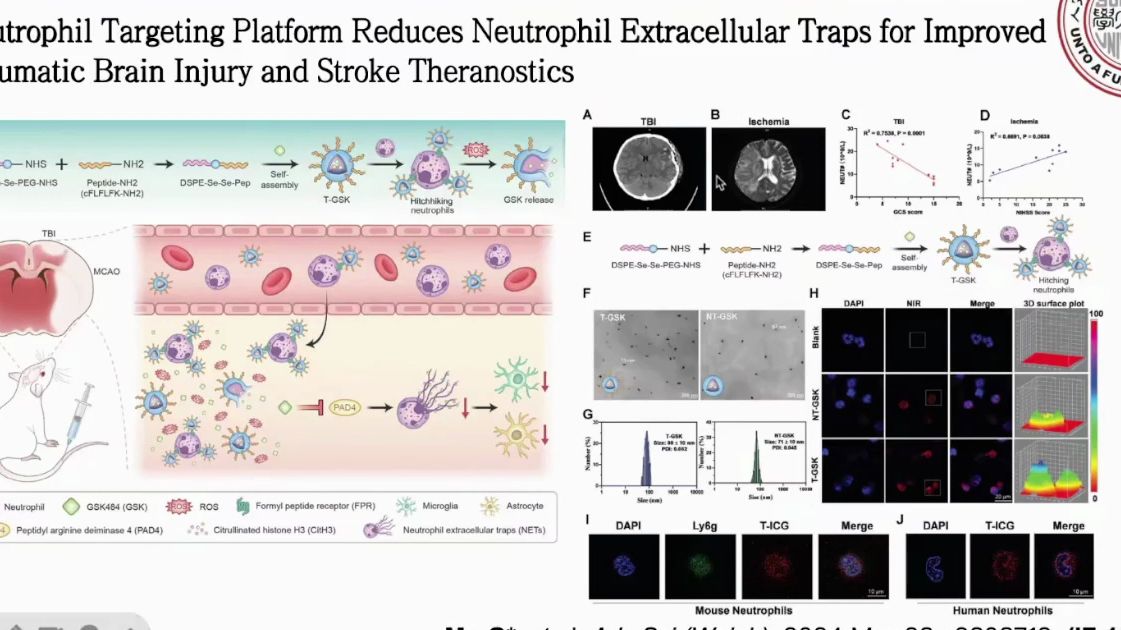 20240403-苏州大学牟青春-纳米药物靶向中性粒细胞的诊疗一体化研究