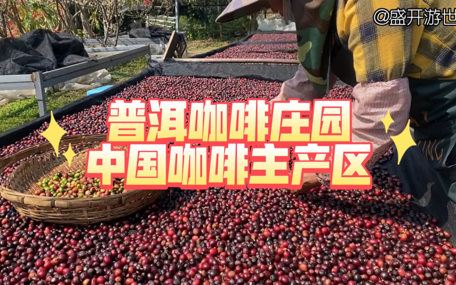 普洱咖啡庄园,世界咖啡黄金种植带
