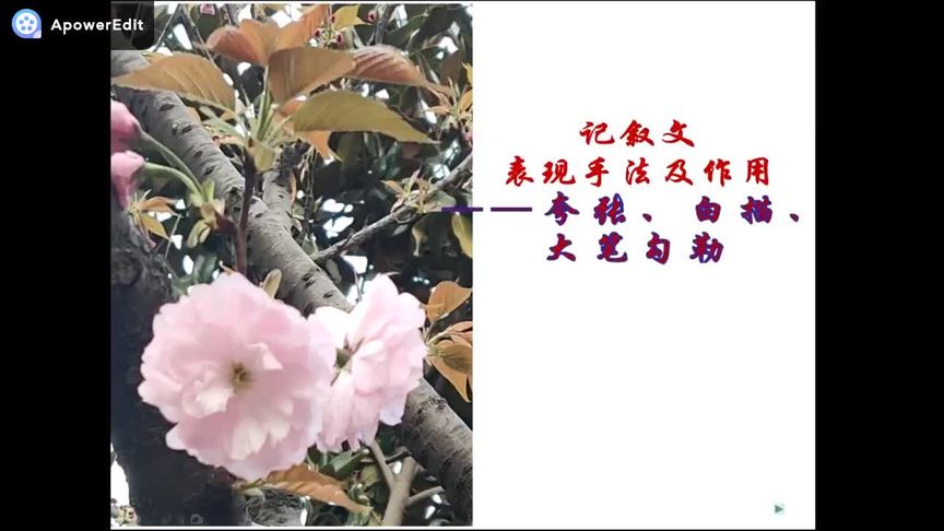 老师讲解的表现手法知识点夸张、白描、大笔勾勒。学生们快看过来
