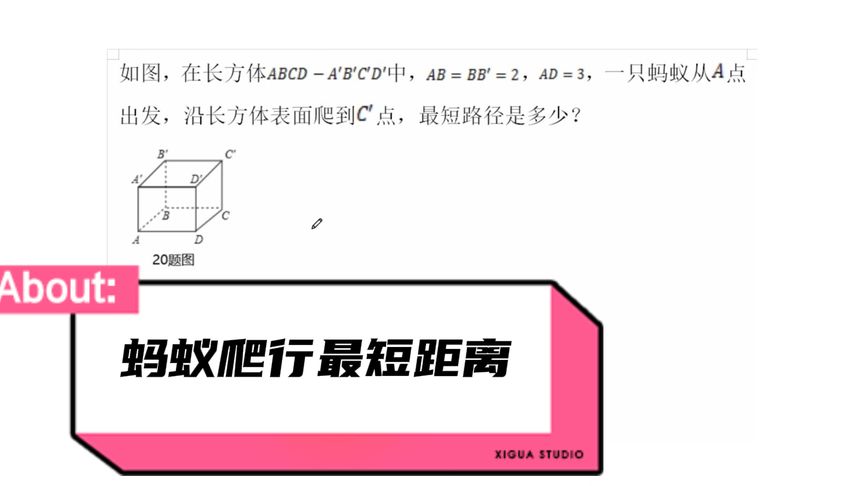 勾股定理应用——蚂蚁爬行最短距离问题