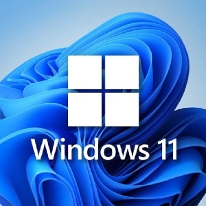 WIN11-23H2 
