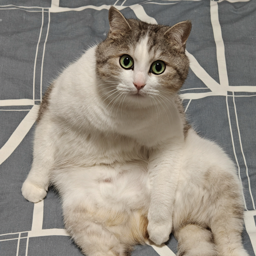 伸舌头与吧唧嘴 