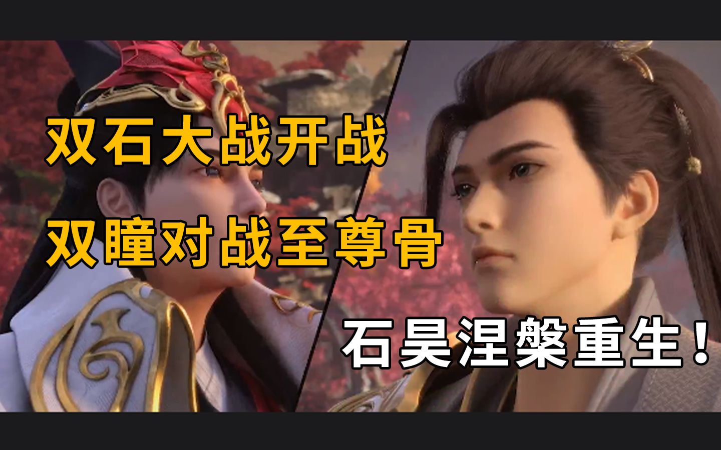 《完美世界53集》双石大战开启,双瞳对战至尊骨,精彩绝伦